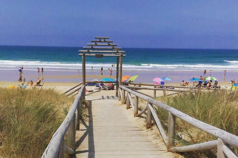 Playa | Califa Casas